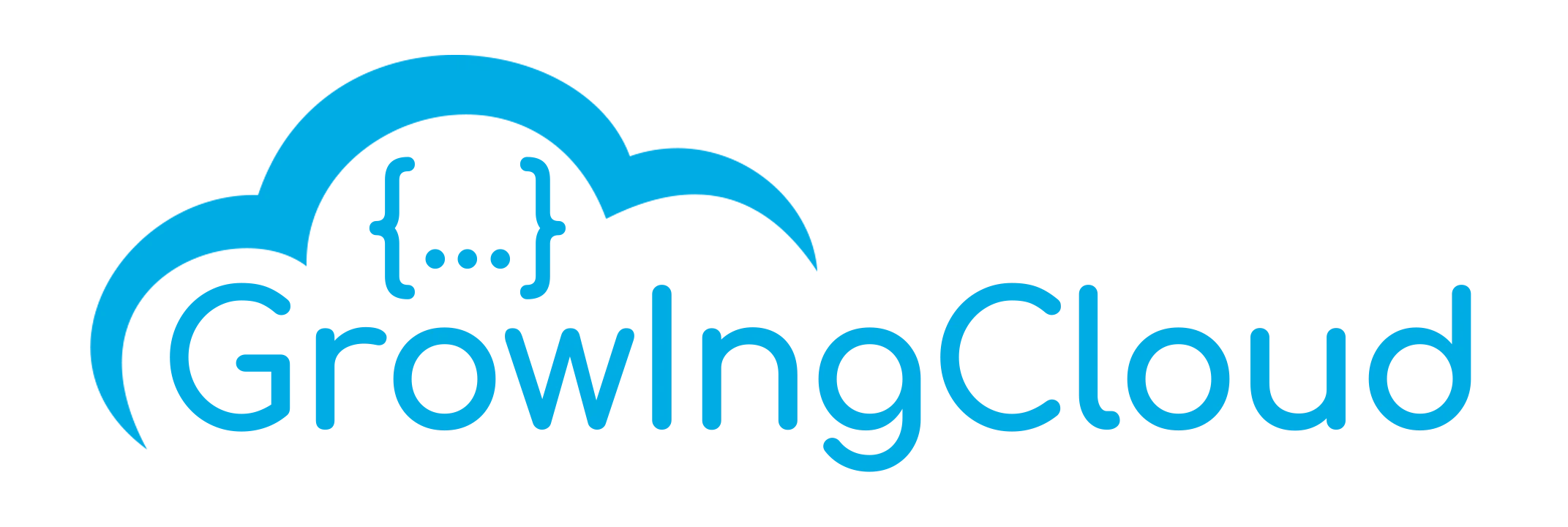 DATOS INICIO PARA SISTEMA DE FACTURACIÓN – Growing Cloud